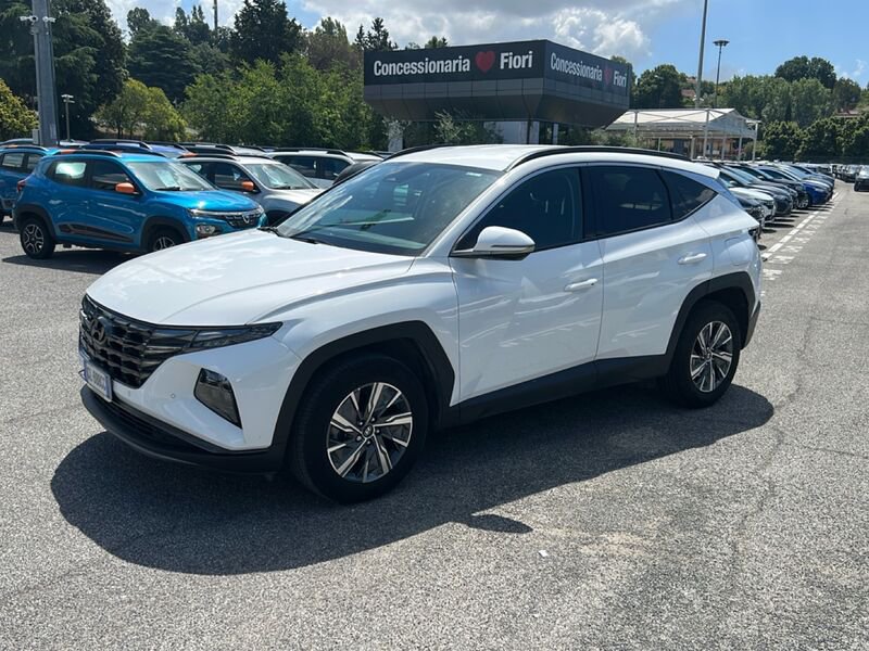HYUNDAI TUCSON Fiori Usato - carAffinity.it